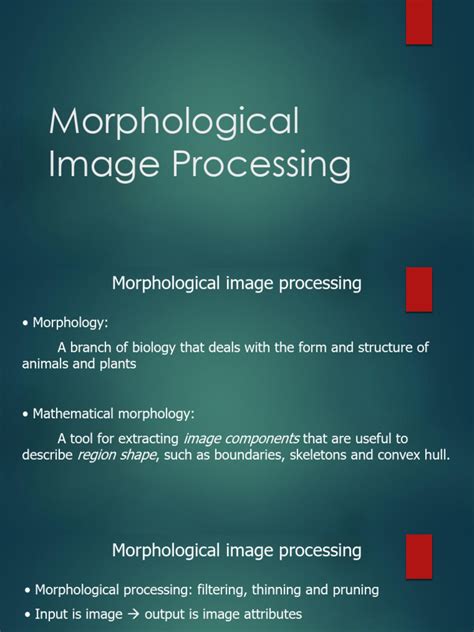 7 morphological image processing pdf shape matrix mathematics