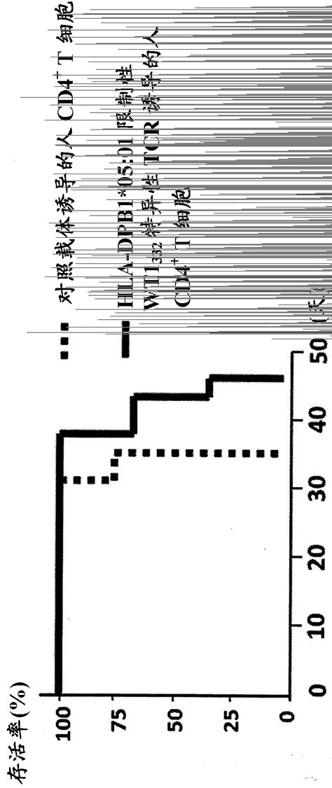 Antigen Specific Helper T Cell Receptor Gene Eureka Patsnap