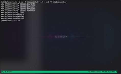Hard Drive Zfs Raid 10 On Ubuntu 24 04 Issues With Dev Disk By Id