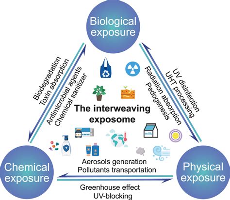 Interweaving Biological Chemical And Physical Exposomes Interactions