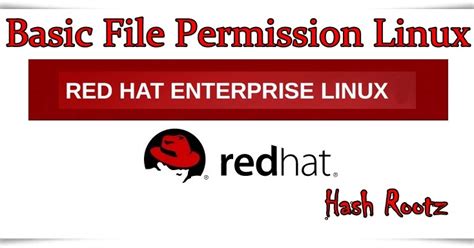 Linux Basic File Permissions ~ Hash Rootz