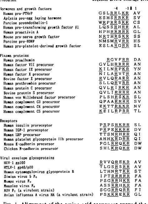 Figure From Arg X Lys Arg Arg Motif As A Signal For Precursor Cleavage Catalyzed By Furin