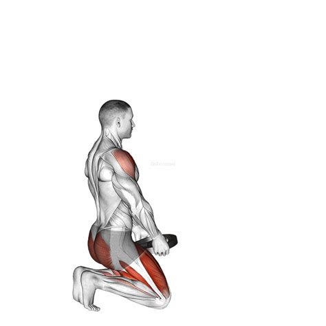 Weighted Kneeling Step With Swing How To Perform Form Tips Muscles