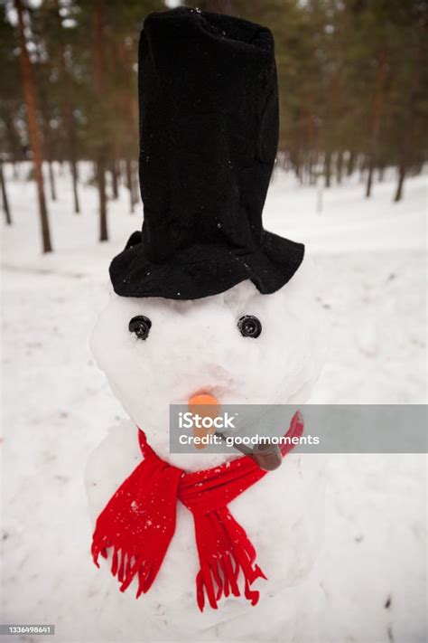 붉은 스카프와 모자를 쓰고 당근과 파이프를 입은 숲속의 큰 눈사람 아이들은 추운 겨울 날에 공원에서 거대한 눈사람을 만들었습니다