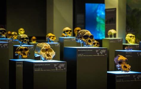 Museum მიმდინარე გამოფენები