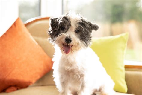 Юлия Тихонова фотограф 📋Чек лист для подготовки к съемке ⠀ 💜 Чтобы фотосессия новорожденного