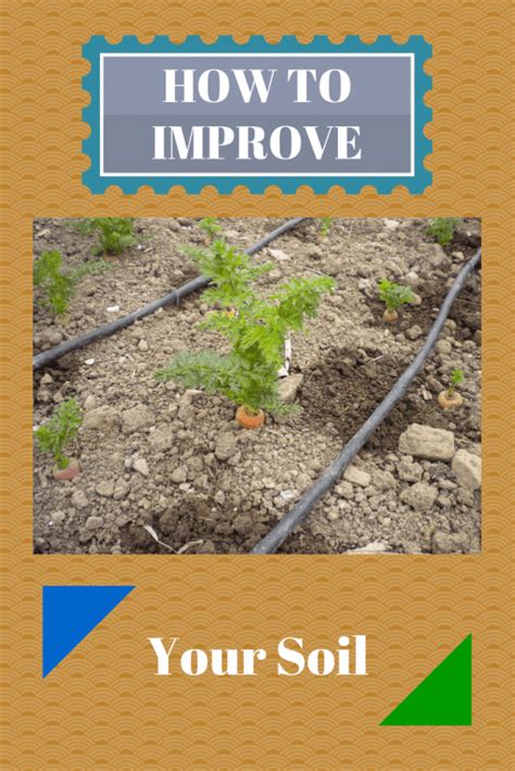 How To Improve Your Garden Soil