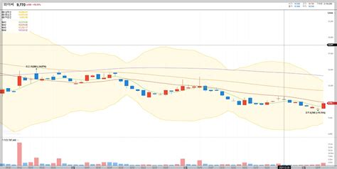 와이씨 주가 전망 목표 주가와 배당금 분석