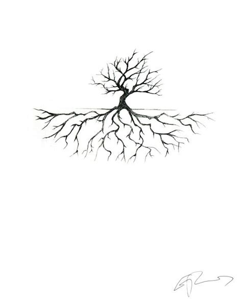 Tree Roots Sketch At Explore Collection Of Tree Roots Sketch