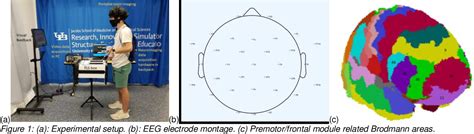 Figure 1 From Dynamic Causal Modeling For Eeg During Complex Laparoscopic Skill Acquisition