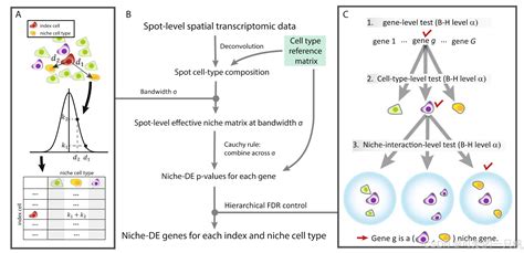 niche de·空间转录组数据中的微环境差异基因表达分析 nichede csdn博客