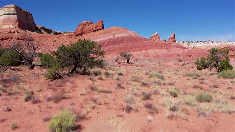 Lloyd Essmann Posted On Linkedin