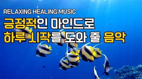 긍정적 마인드로 하루 시작 할 아침음악 🐠 카페음악불면증치료음악우울증치료음악공부 할때 듣는음악스트레스해소음악힐링음악