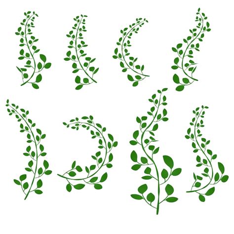 Premium Vector Tree Branches With Leaves Botanical