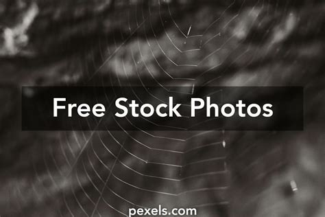 4k Wallpaper Calender Sexy Girls Photos Download The Best Free 4k