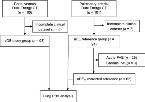 Figure 1 From Dual Energy Lung Perfusion In Portal Venous Phase Ct—a
