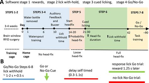 Figures And Data In Automated Task Training And Longitudinal Monitoring Of Mouse Mesoscale