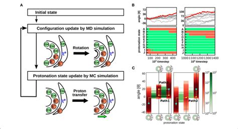 Hybrid Mcmd Simulation Protocol And Results A Our Hybrid Mcmd