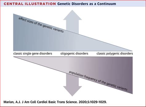 Clinical Interpretation And Management Of Genetic Variants Jacc Basic To Translational Science