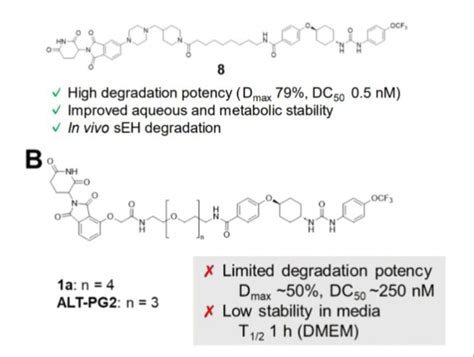 Seh Protac Molecule With Linker Optimization Gagan Kukreja Posted On The Topic Linkedin
