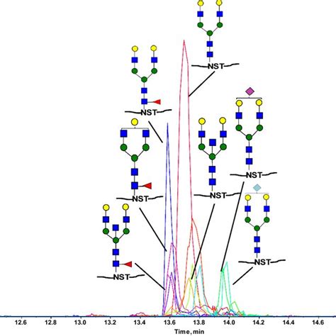 Deduced Amino Acid Sequence Of A Igg1 Heavy Chain And B Light Chain
