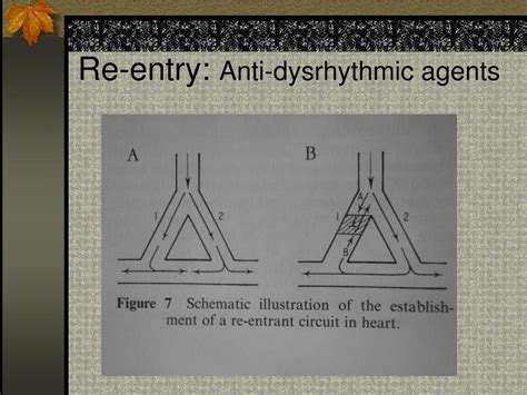 Ppt Drug Induced Arrhythmia Powerpoint Presentation Free Download