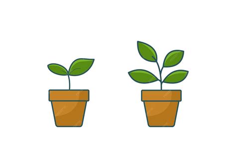 Premium Vector Growing Plant Vector Illustration