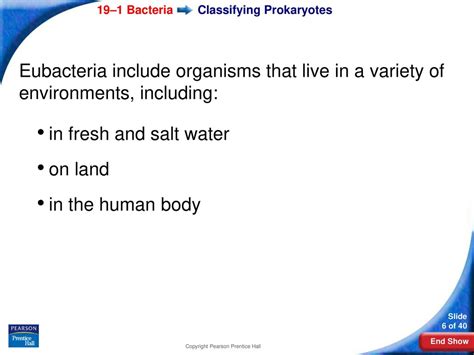 Copyright Pearson Prentice Hall Ppt Download