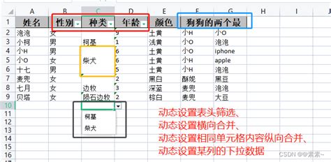 Java导出excel通用工具——第二篇：使用easyexcel导出excel的多种情况的例子介绍素素~的博客 Csdn博客