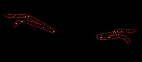 Qupath How To Separately Count Celltypes In Multiple Annotations In