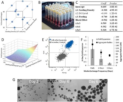 pluripotent stem cell bioprocess optimization in small scale suspension