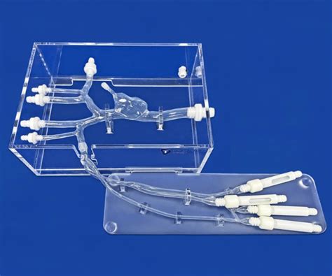 PICC Line Placement A Vital Procedure For Long Term Intravenous Access Knowledge