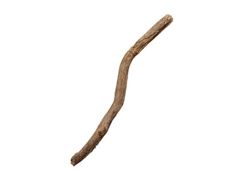 Tree Branch PNG Transparent Image Freepngdesign Com