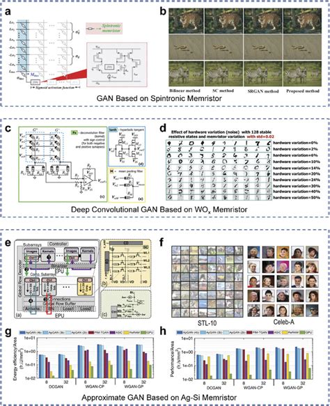 A Structure Of The Ferroelectric Memristor B Stdp Behavior