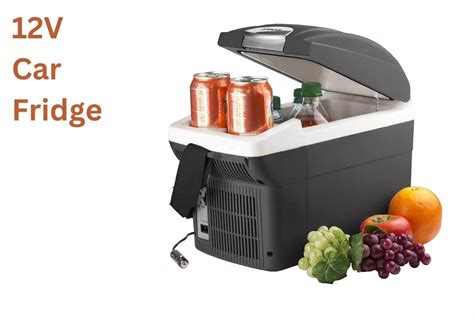 10 Cars And Suvs With Built In Refrigerators 2024