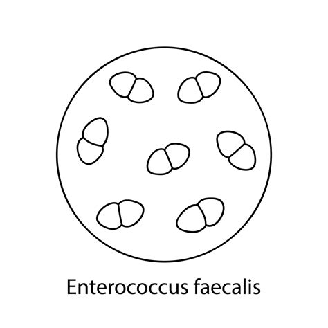 Pathogene Bacteriën Bacteriële Micro Organismen Microbiologie