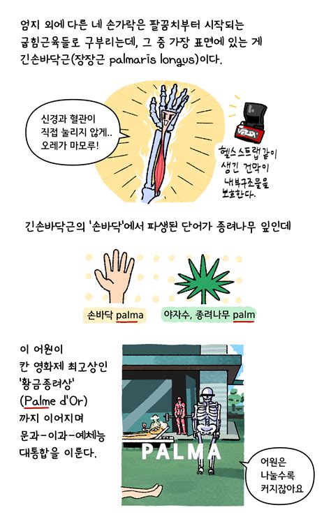 까면서 보는 해부학 만화 5화 손