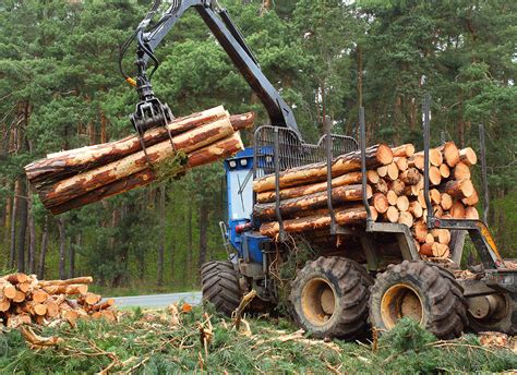Loggingforestry Equipment Operators Occupations In Alberta Alis