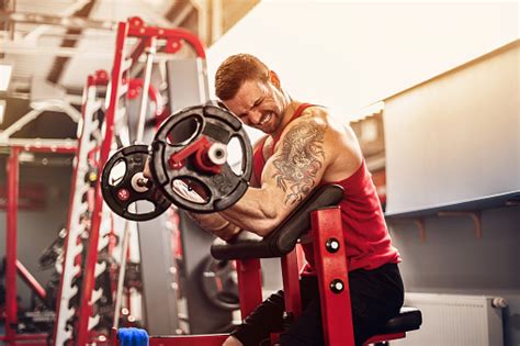 체육관에서 바벨 운동의 집합을 하 고 남자 보디 실시간 촬영 1에 대한 스톡 사진 및 기타 이미지 1 건강한 생활방식