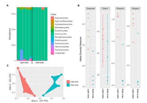 A Class Level Distribution Of The Mycobiomes Associated With The Dark