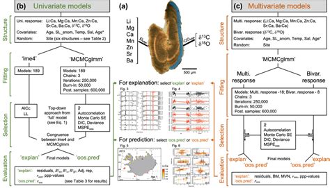 Schematic Of The Otolith Analysis And Modelling Approach A Age 2 Download Scientific Diagram