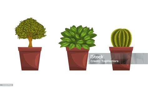 다른 집 식물의 세트 인테리어 홈 또는 사무실 장식 평면 벡터 일러스트에 대한 녹색 화분 식물 0명에 대한 스톡 벡터 아트 및 기타 이미지 Istock