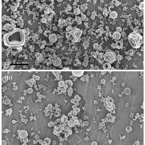 Equivalent Circular Diameter Particle Size Distributions For A