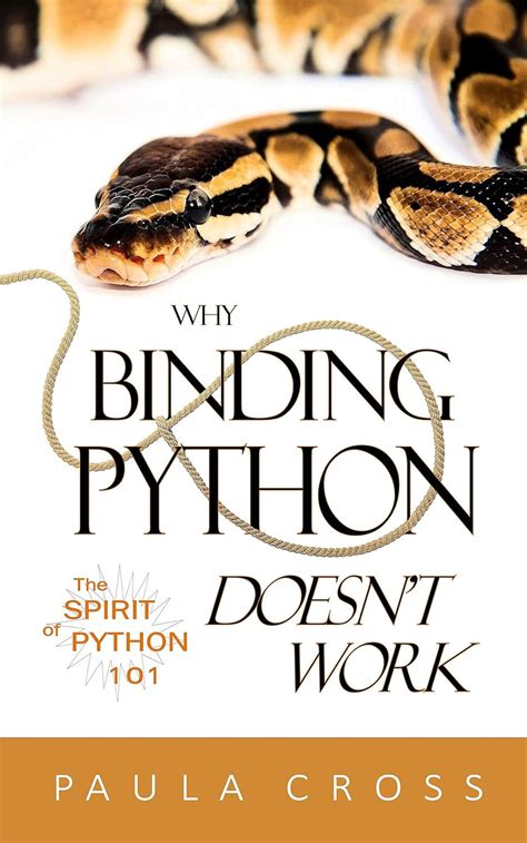 Why Binding Python Doesnt Work The Spirit Of Python 101 Kindle