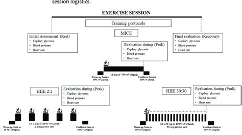 Diagram Of Training Protocols In The Session Hiie High Intensity Download Scientific Diagram