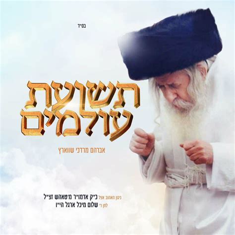 Avrum Mordche Schwartz Teshias Oilumim Single