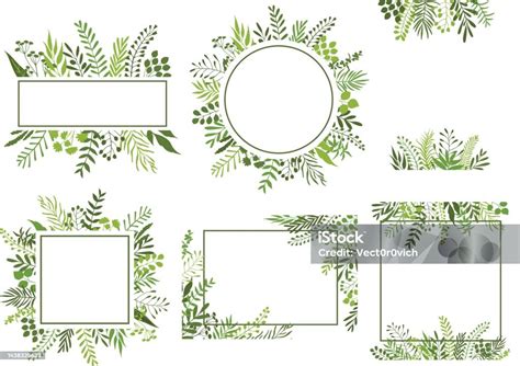 유기 녹지 프레임과 테두리 원형 및 사각형 헤더 배너 템플릿 고립 된 벡터 일러스트 레이 션 세트 올리브 가지에 대한 스톡 벡터 아트 및 기타 이미지 Istock
