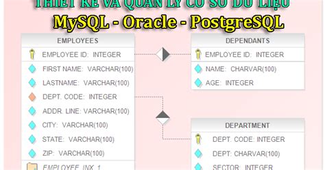 Chia Sẻ Khóa Học Thiết Kế Và Quản Lý Cơ Sở Dữ Liệu Mysql Oracle Và
