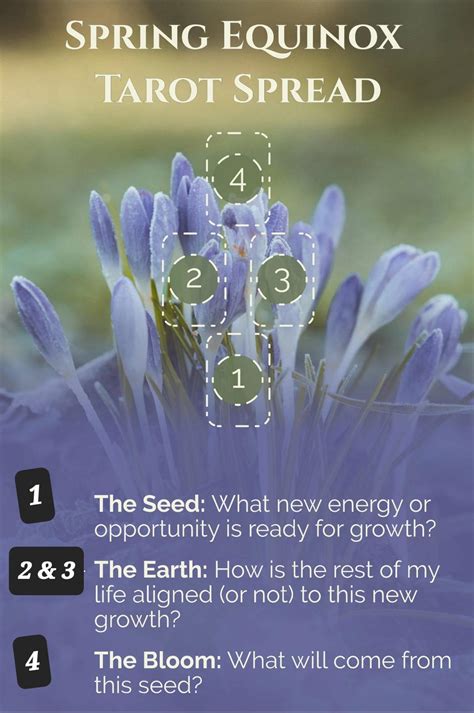 Fixed The Typo Rtarot