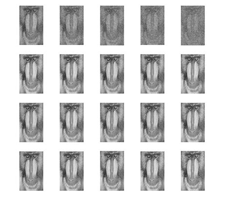 globally convergent conjugate gradient algorithms without the lipschitz